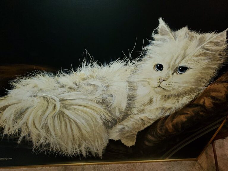 Large Persian Cat Oil Painting - Artist Letterman - 48 x 60 - Long ...