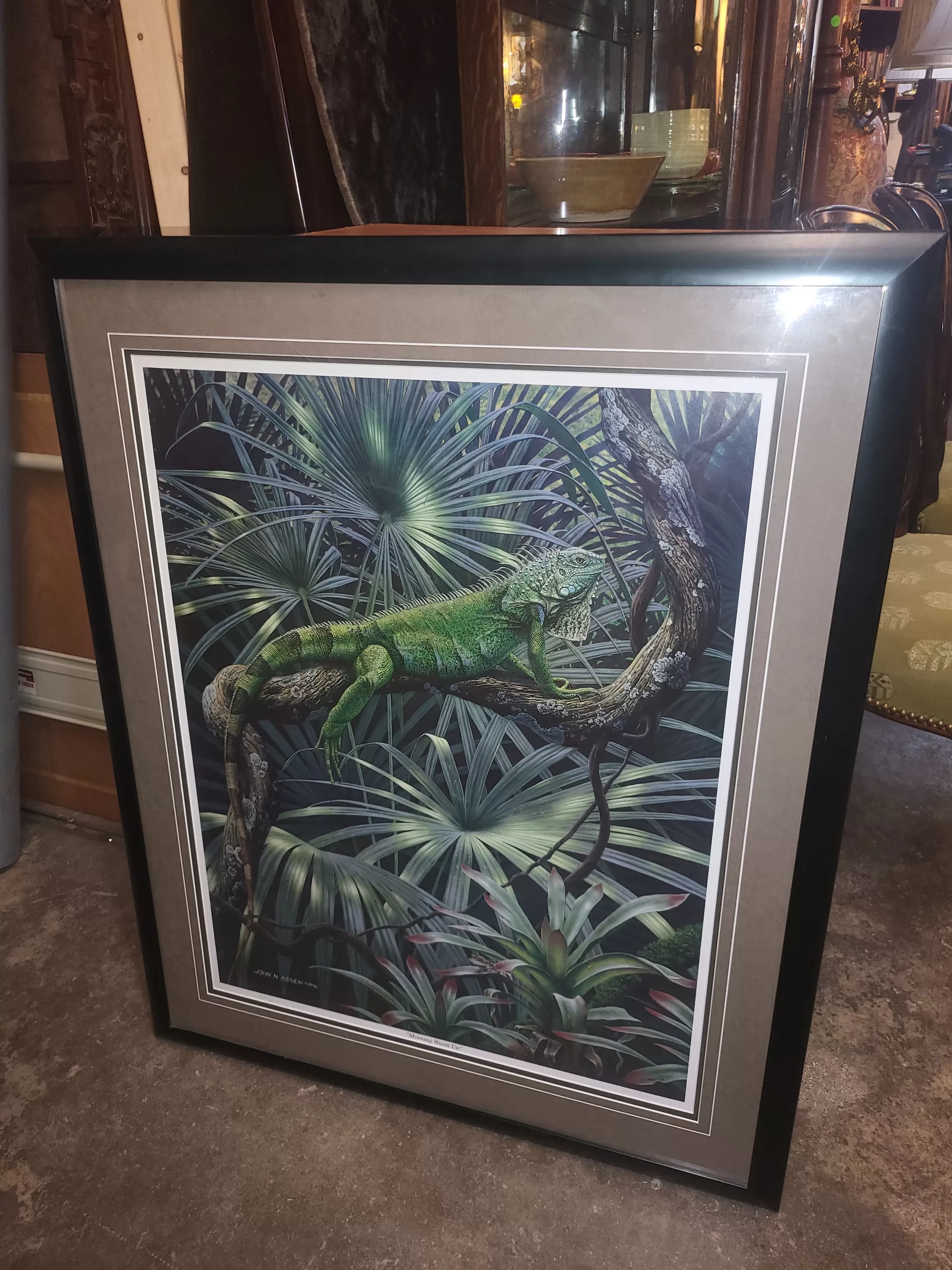 John Agnew 1996 Iguana Print "Morning Warm Up" - Long Valley Traders
