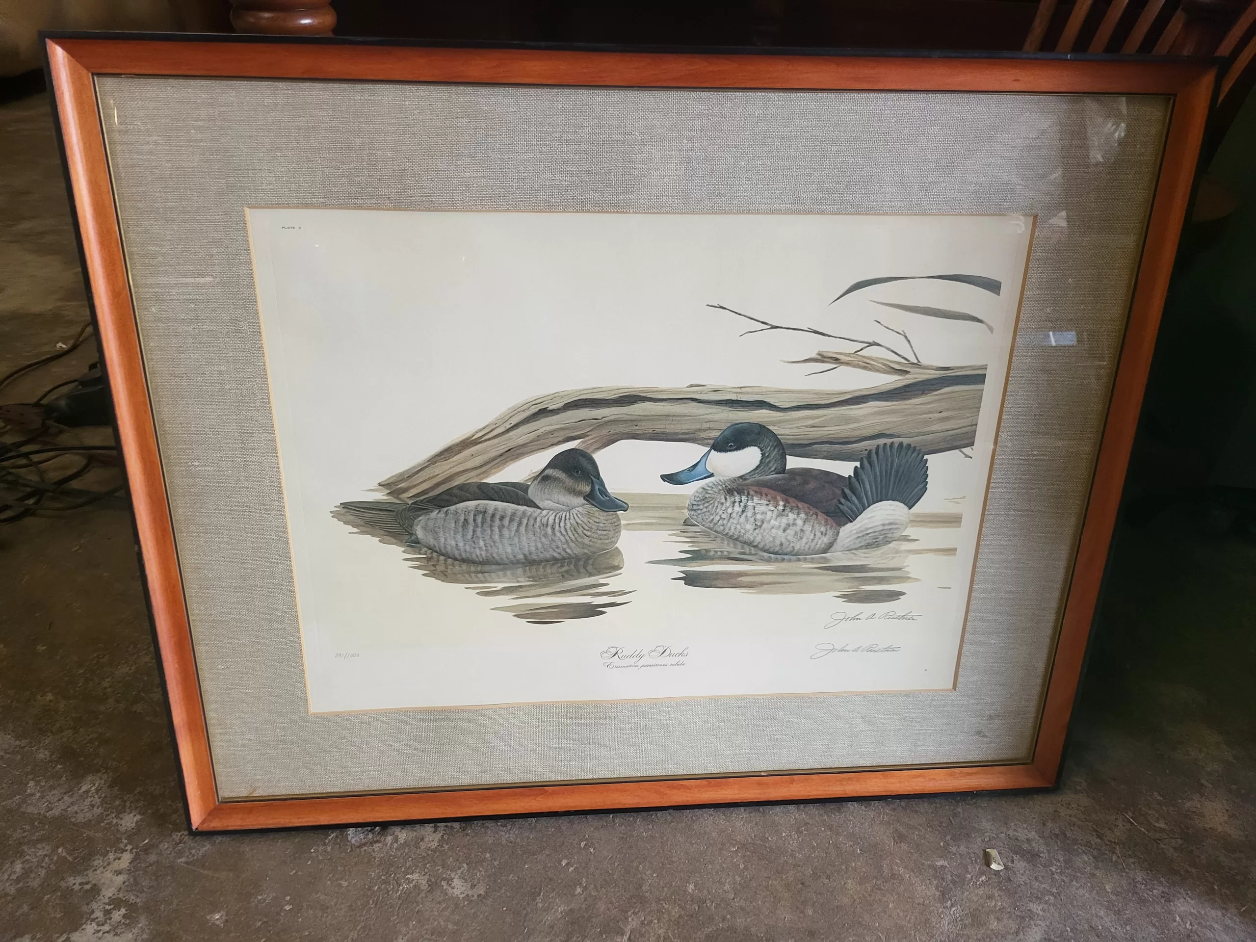Signed / Numbered Limited Edition "Ruddy Ducks" by Artist John A ...