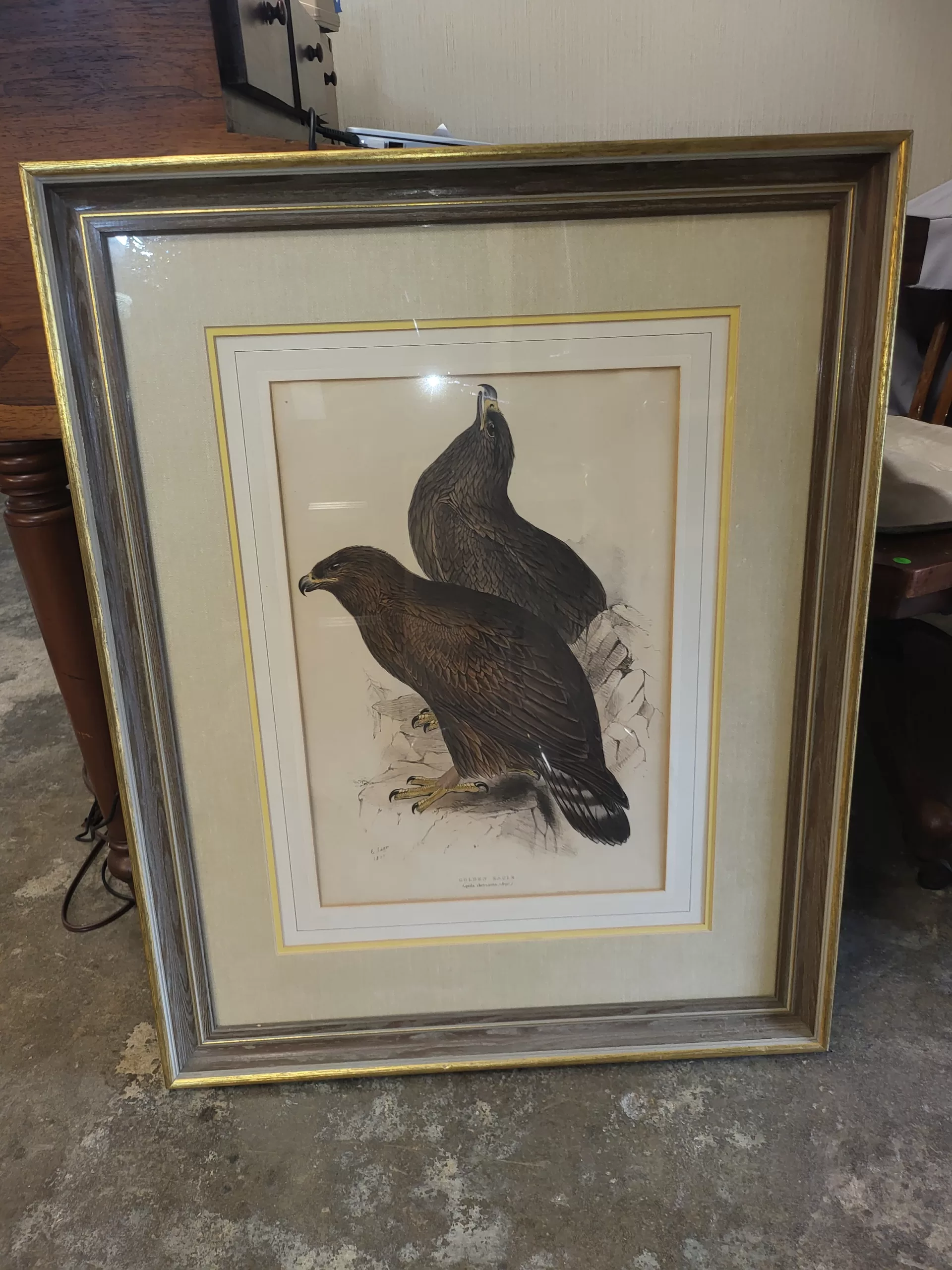 Signed Print of "Golden Eagle" by Artist Edward Lear - Long Valley Traders