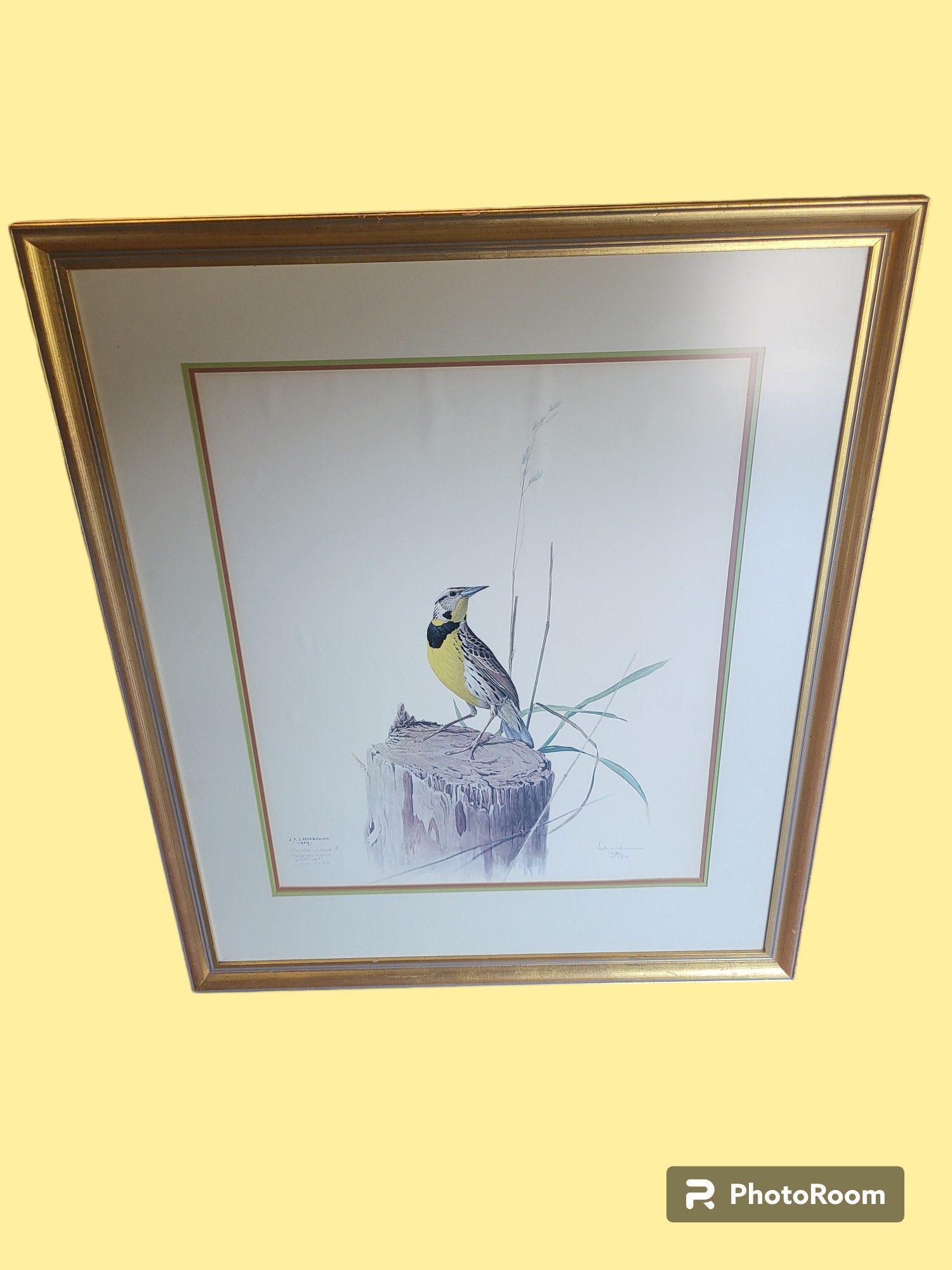 Framed, Signed and Numbered Print of a Meadowlark by Artist James ...